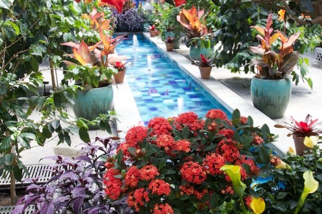 DEC 24 • Changamiré at the Botanic Garden | changamire